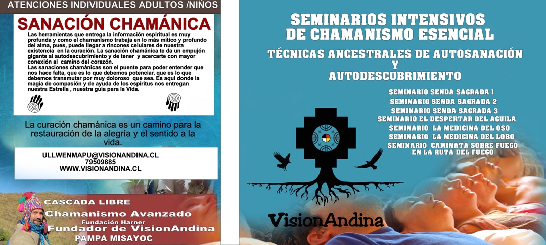 Sanación y curación chamanica-seminarios -talleres - Terapeutas de Chile